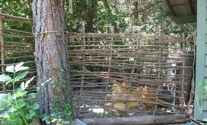 Wattle Gate on chicken pen – The Holistic Garden