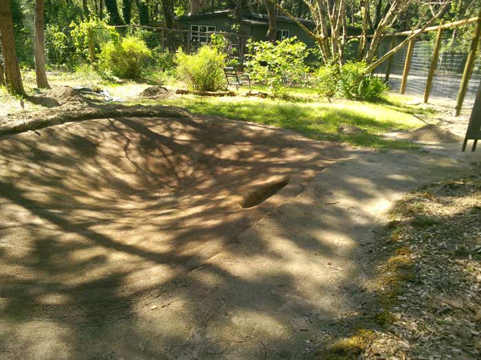 Building a “Natural” Frog Pond – The Holistic Garden