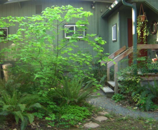 Designing a Holistic Garden – Part Four – The Holistic Garden