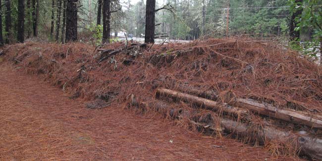 The Great Hugel-berm! – The Holistic Garden